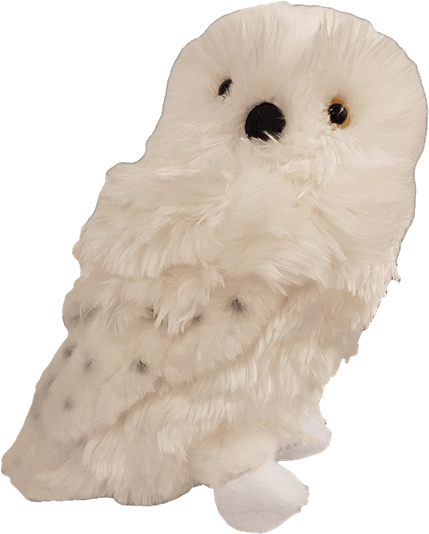 Congratulations! The PNG Image Has Been Downloaded (Hedwig Png ...