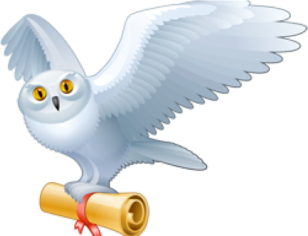Congratulations! The PNG Image Has Been Downloaded (Hedwig Png ...