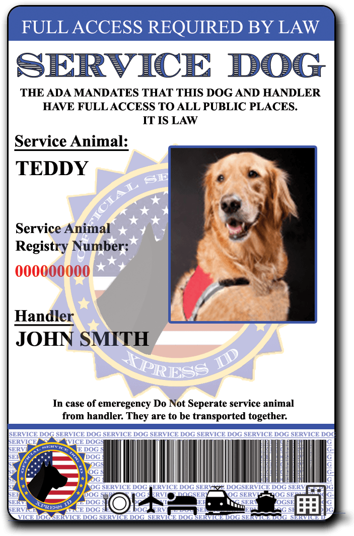Congratulations! The PNG Image Has Been Downloaded (Service Dog Png ...
