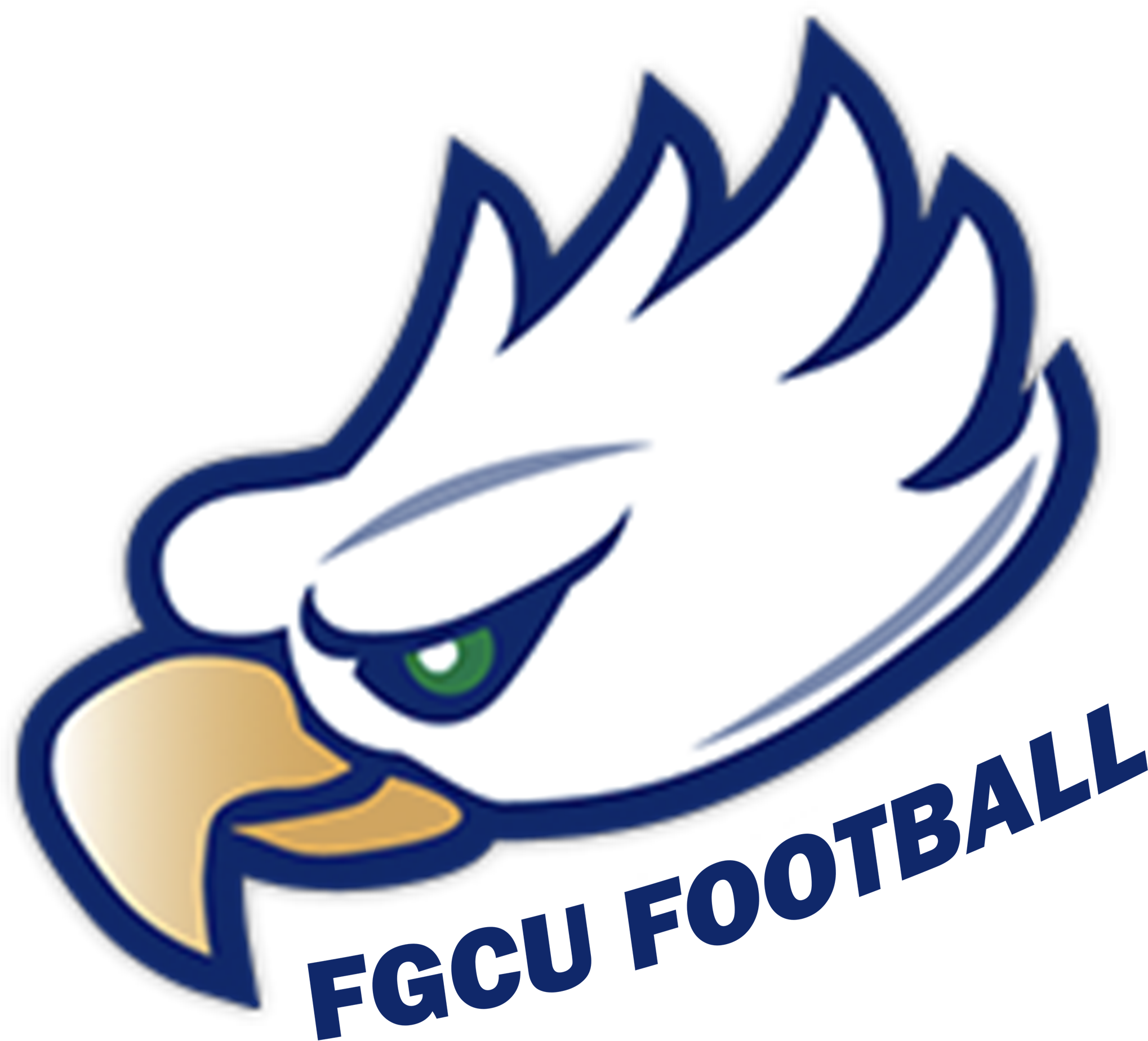 Congratulations! The PNG Image Has Been Downloaded (Fgcu Logo Png ...