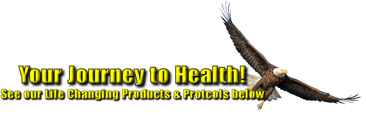 Congratulations! The PNG Image Has Been Downloaded (Youngevity Logo Png ...