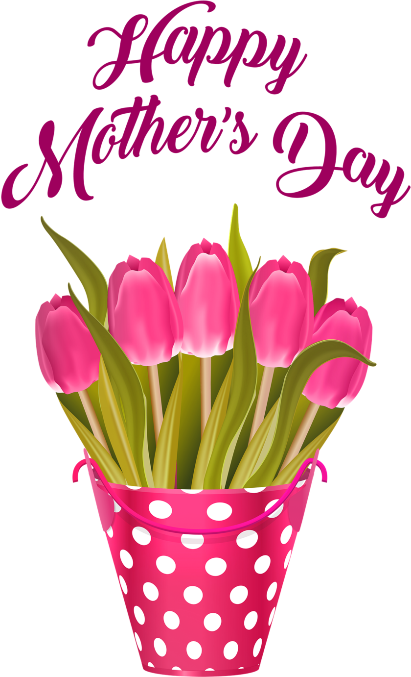 Congratulations The Png Image Has Been Downloaded Transparent Feliz