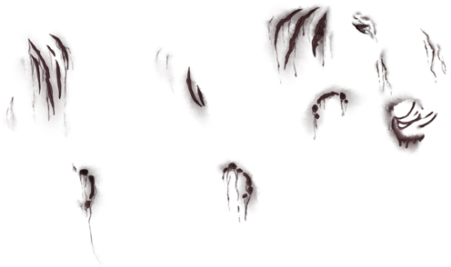 Congratulations! The PNG Image Has Been Downloaded (Evil Eyebrows Png ...