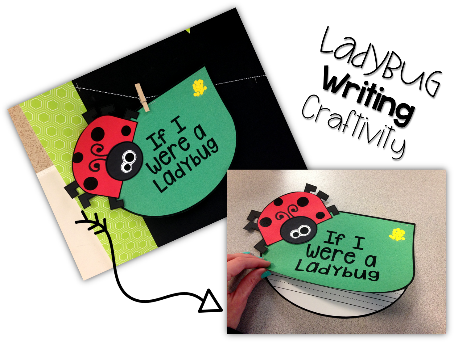 Congratulations! The PNG Image Has Been Downloaded (Cute Ladybug Png ...