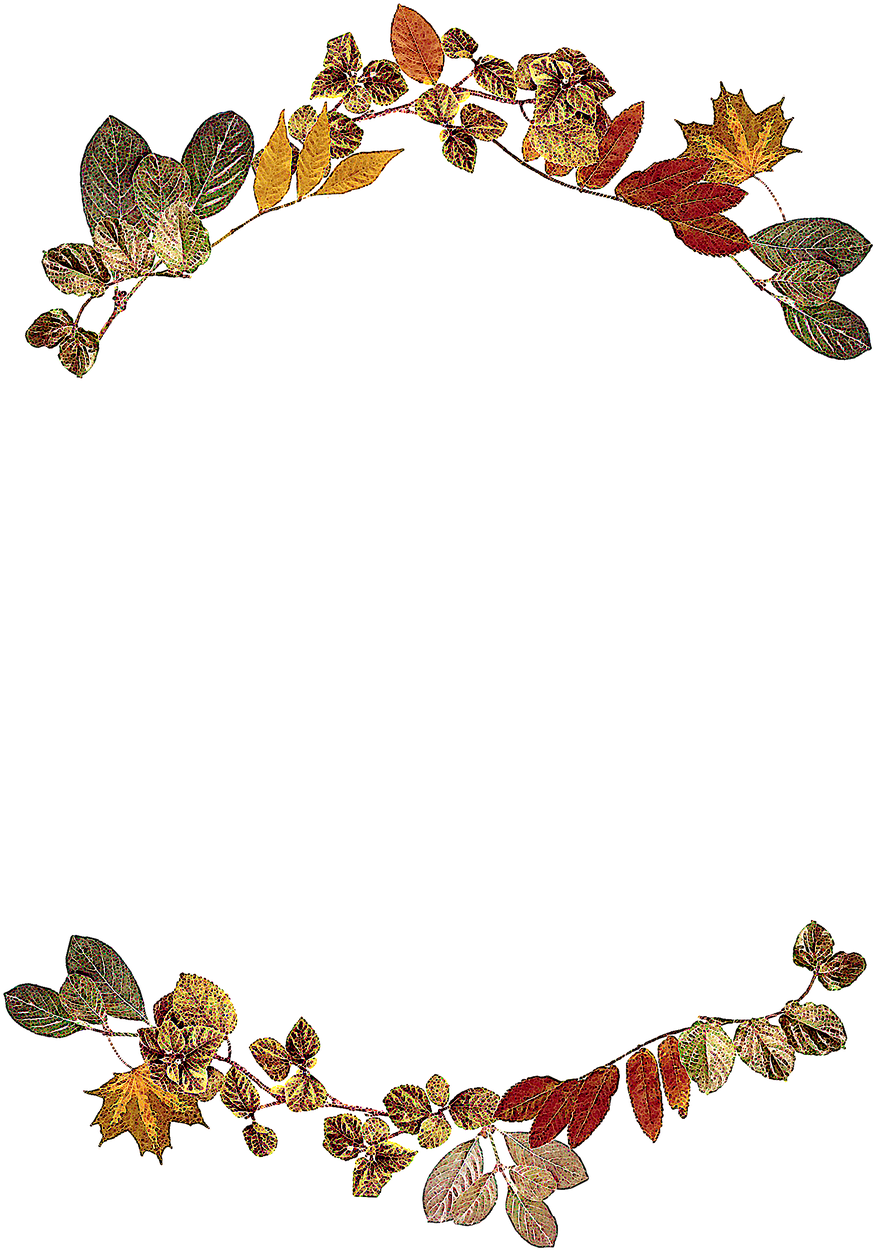 Congratulations! The PNG Image Has Been Downloaded (Autumn Scroll ...