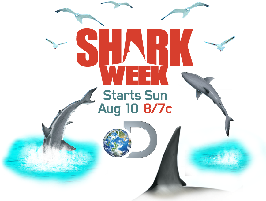 Congratulations! The PNG Image Has Been Downloaded (Shark Week Swedish ...