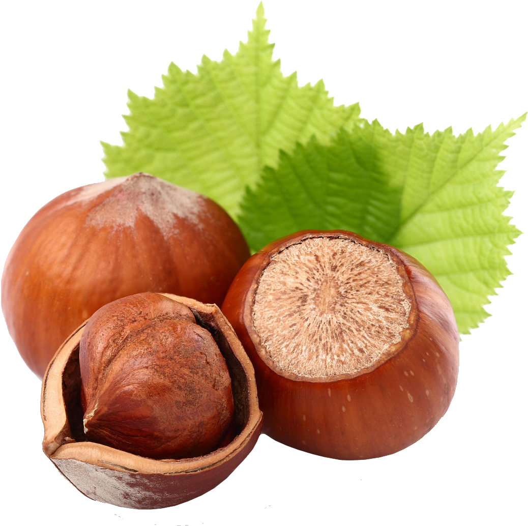 Congratulations! The PNG Image Has Been Downloaded (Hazelnut ...