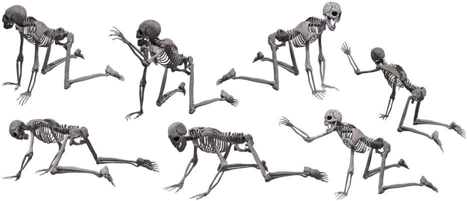 Congratulations! The PNG Image Has Been Downloaded (Skeleton, Skull ...