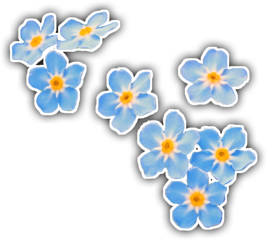 Congratulations! The PNG Image Has Been Downloaded (Forget Me Not ...
