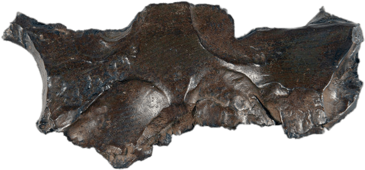 Congratulations! The PNG Image Has Been Downloaded (Large Piece Of ...