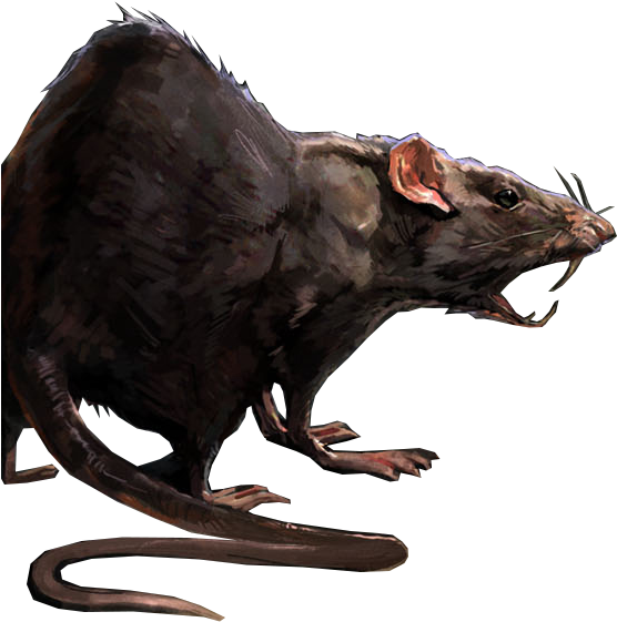 Congratulations! The PNG Image Has Been Downloaded (Dead Rat Png - Rat ...