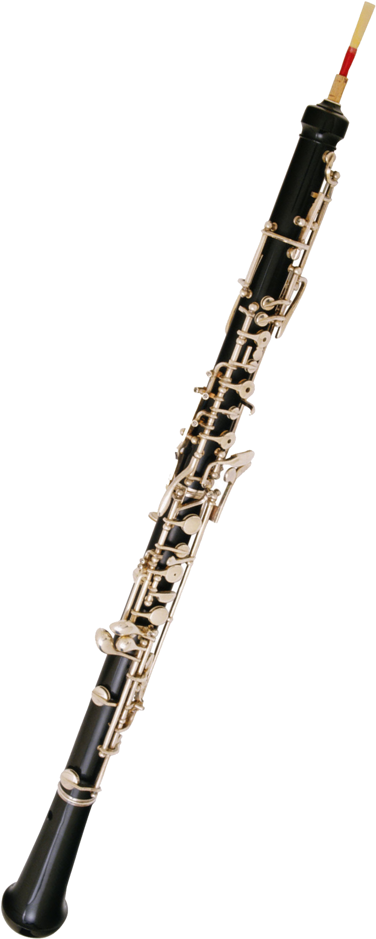 Congratulations! The PNG Image Has Been Downloaded (Transparent Oboe ...