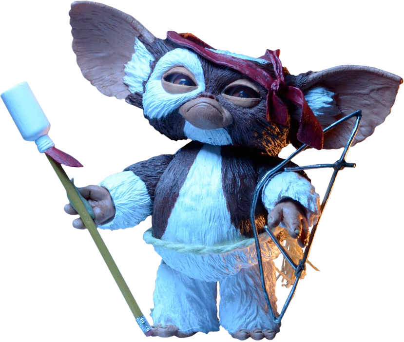 Congratulations! The PNG Image Has Been Downloaded (Neca Gremlins ...
