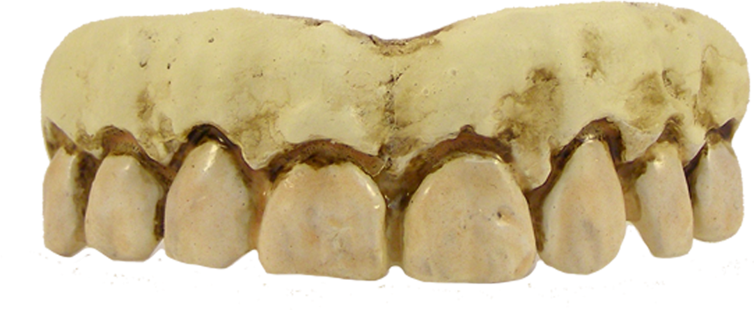 Congratulations! The PNG Image Has Been Downloaded (Skeleton Teeth Png ...