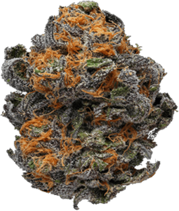 Congratulations! The PNG Image Has Been Downloaded (Transparent ...