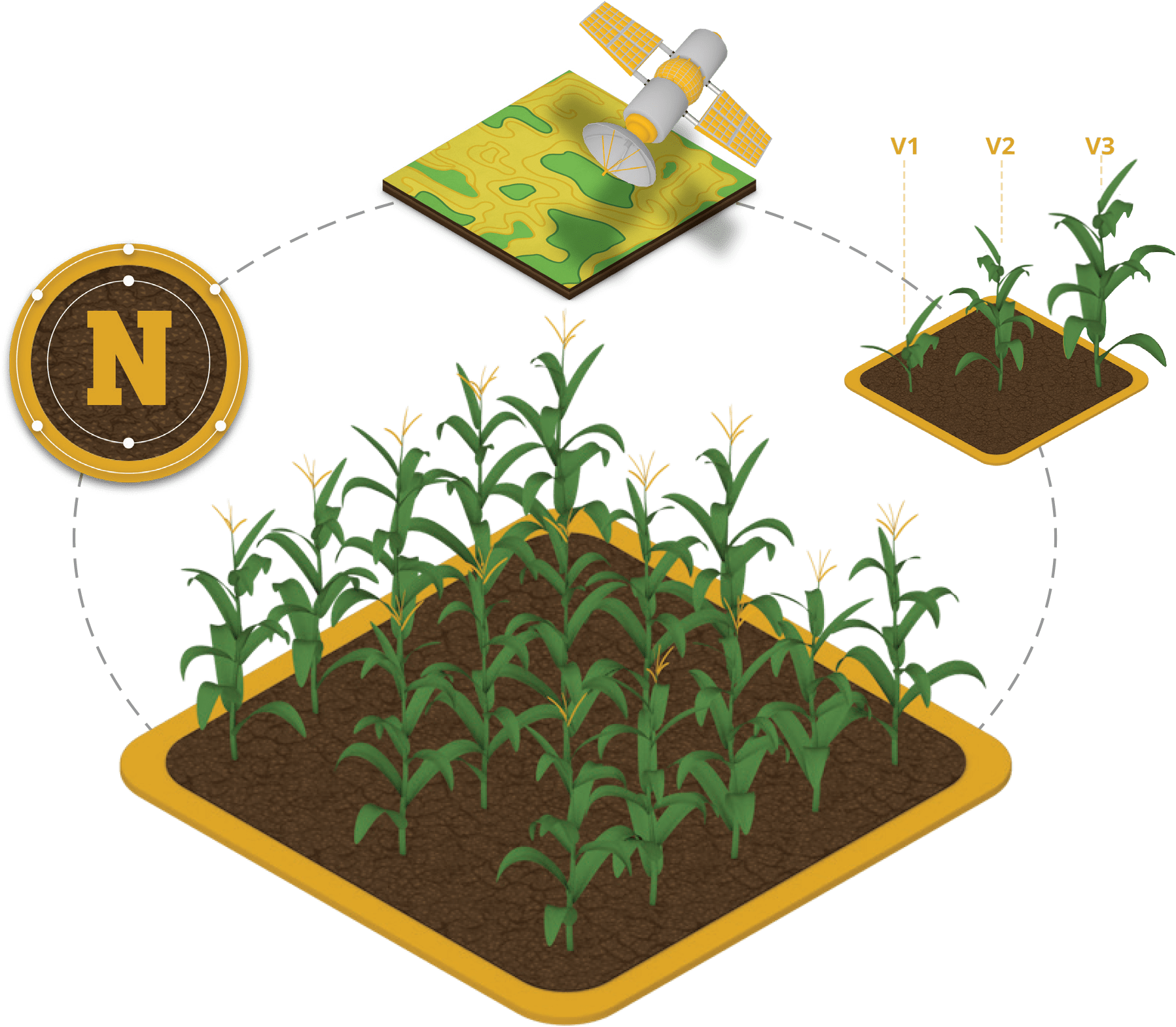 Congratulations! The PNG Image Has Been Downloaded (Transparent Corn ...