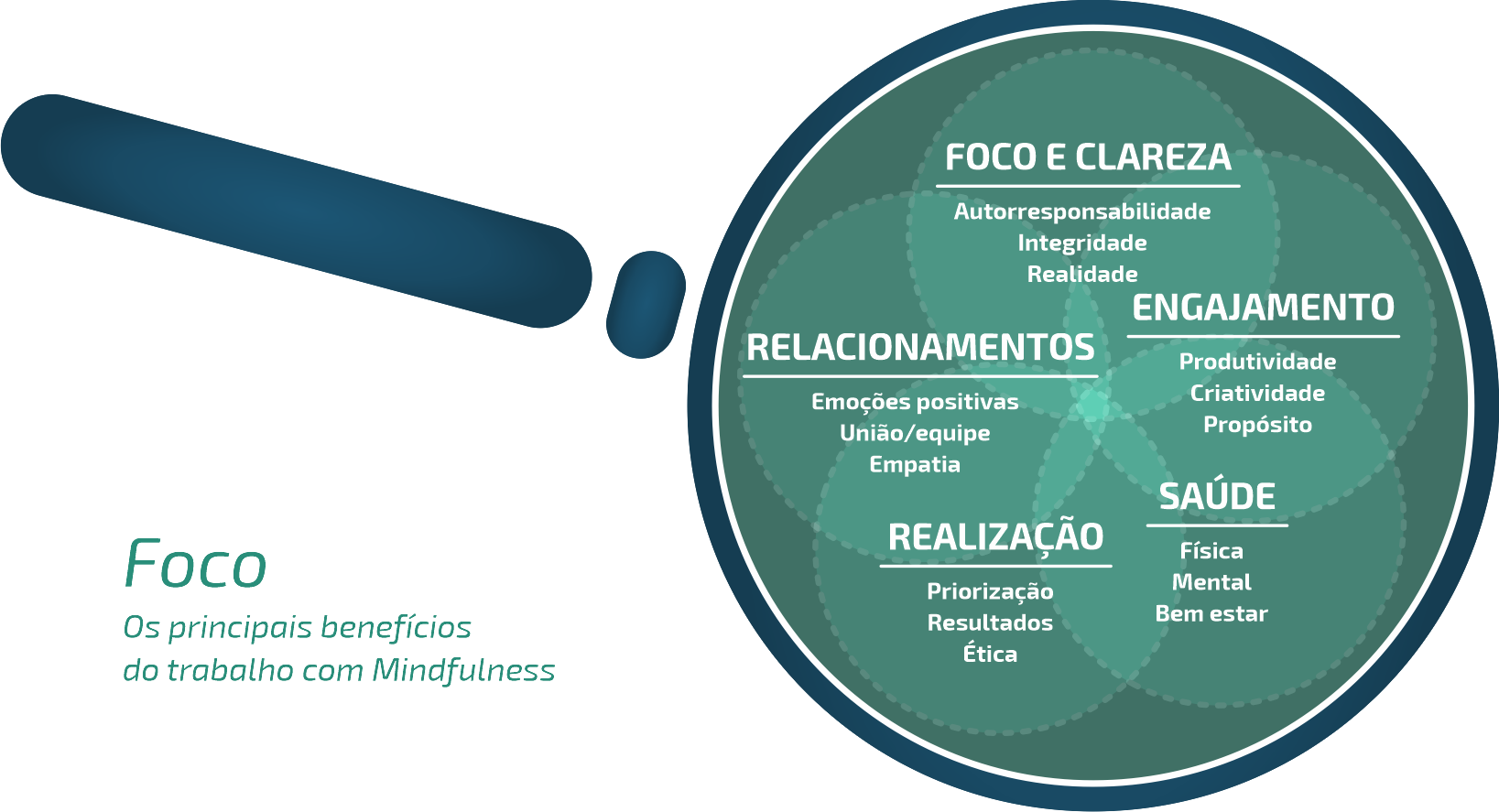 Congratulations! The PNG Image Has Been Downloaded (Transparent Foco ...