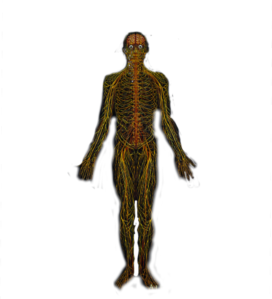 Congratulations! The PNG Image Has Been Downloaded (#alexgrey #tool # ...