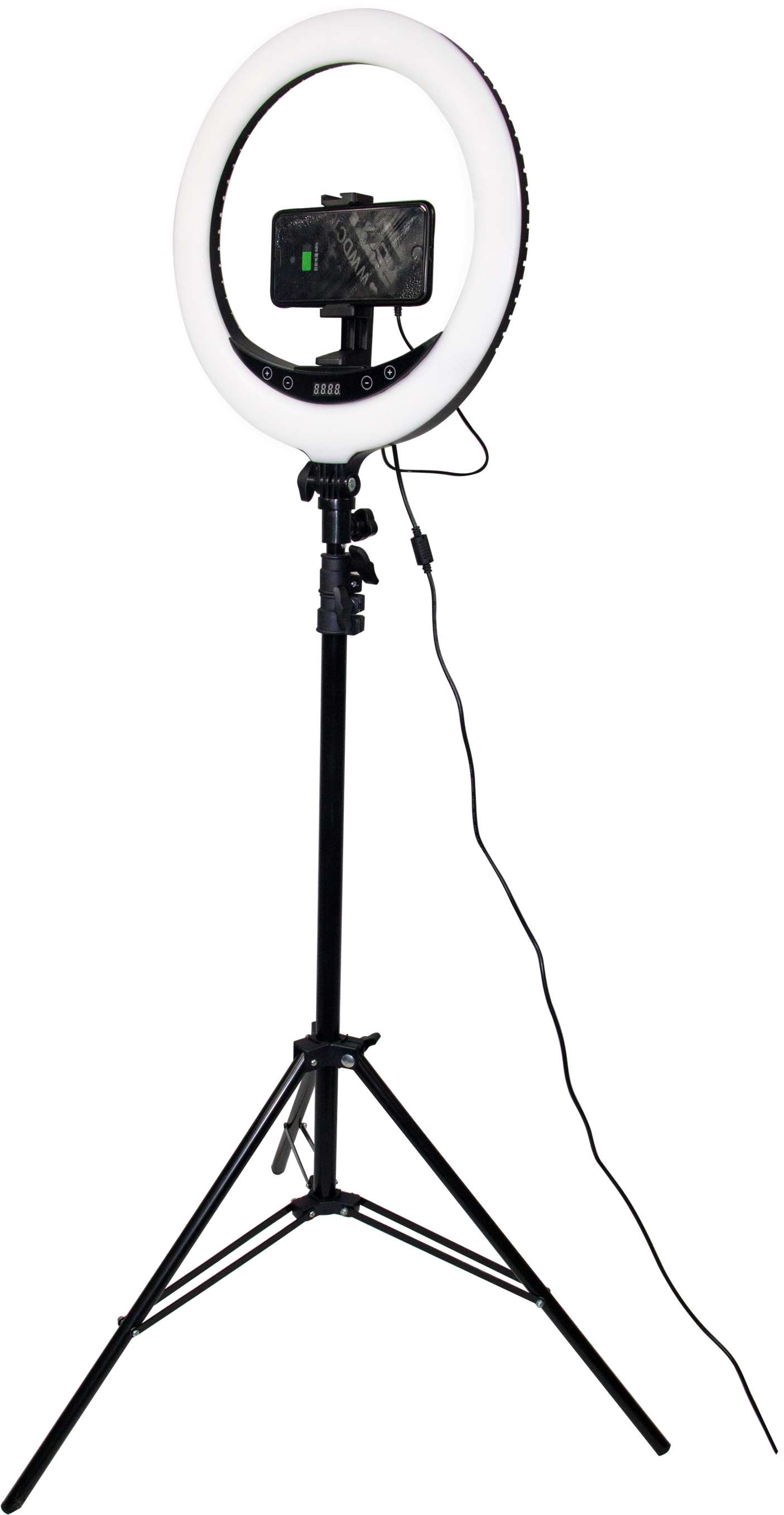 Congratulations! The PNG Image Has Been Downloaded (Transparent Light ...