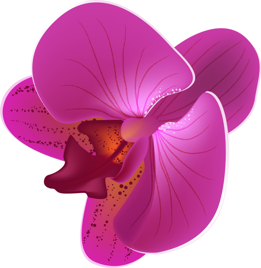 Congratulations! The PNG Image Has Been Downloaded (Orchid Clipart ...