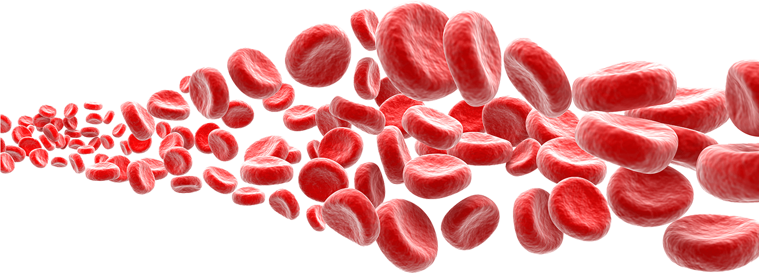 Congratulations! The PNG Image Has Been Downloaded (Transparent ...