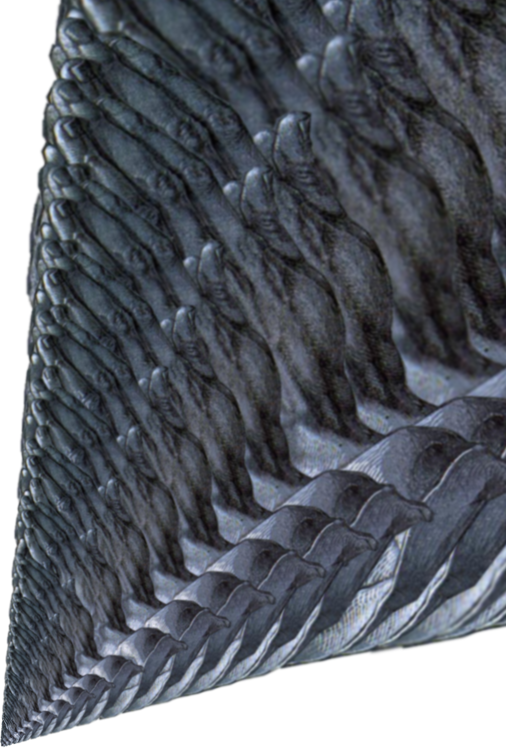 Congratulations! The PNG Image Has Been Downloaded (Transparent ...