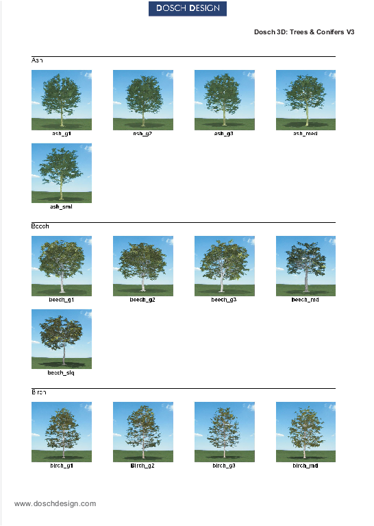 Congratulations! The PNG Image Has Been Downloaded (Tree, HD Png ...