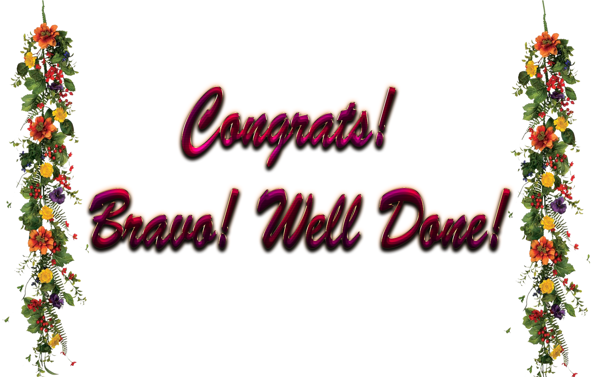 Congratulations! The PNG Image Has Been Downloaded (Congrats Bravo Well ...