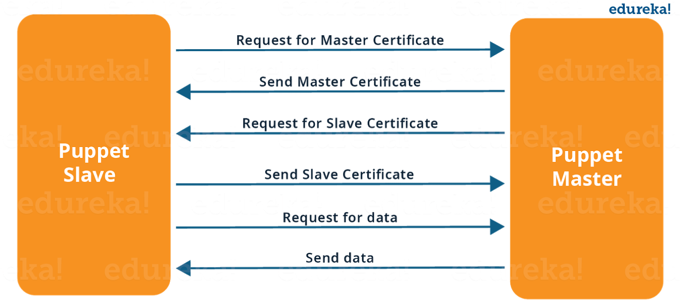 Congratulations! The PNG Image Has Been Downloaded (Ssl Connection ...