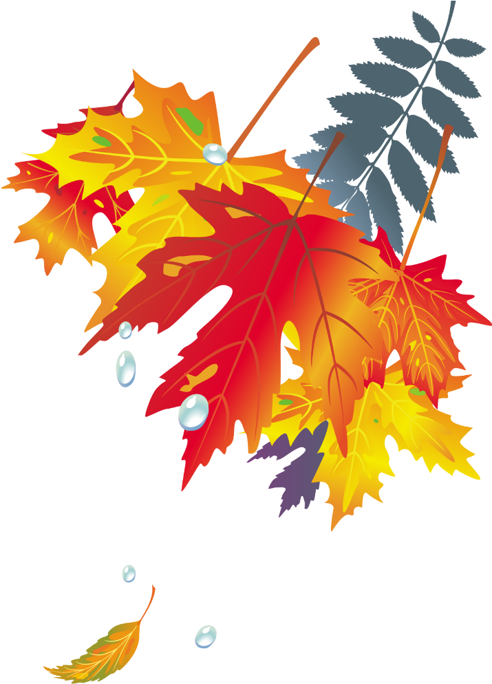 Congratulations! The PNG Image Has Been Downloaded (Dibujo De Hojas De ...