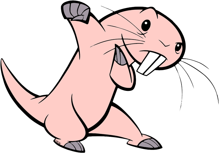 Congratulations! The PNG Image Has Been Downloaded (Rufus Kim Possible ...