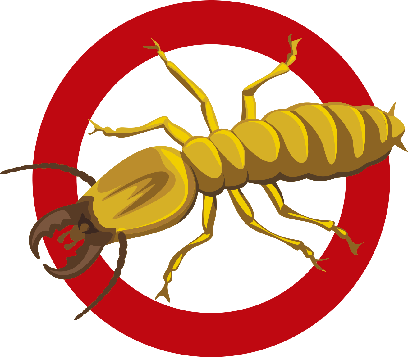 Congratulations! The PNG Image Has Been Downloaded (Termites Pest ...