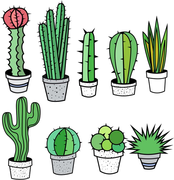 Congratulations! The PNG Image Has Been Downloaded (Cactus Free Clip ...