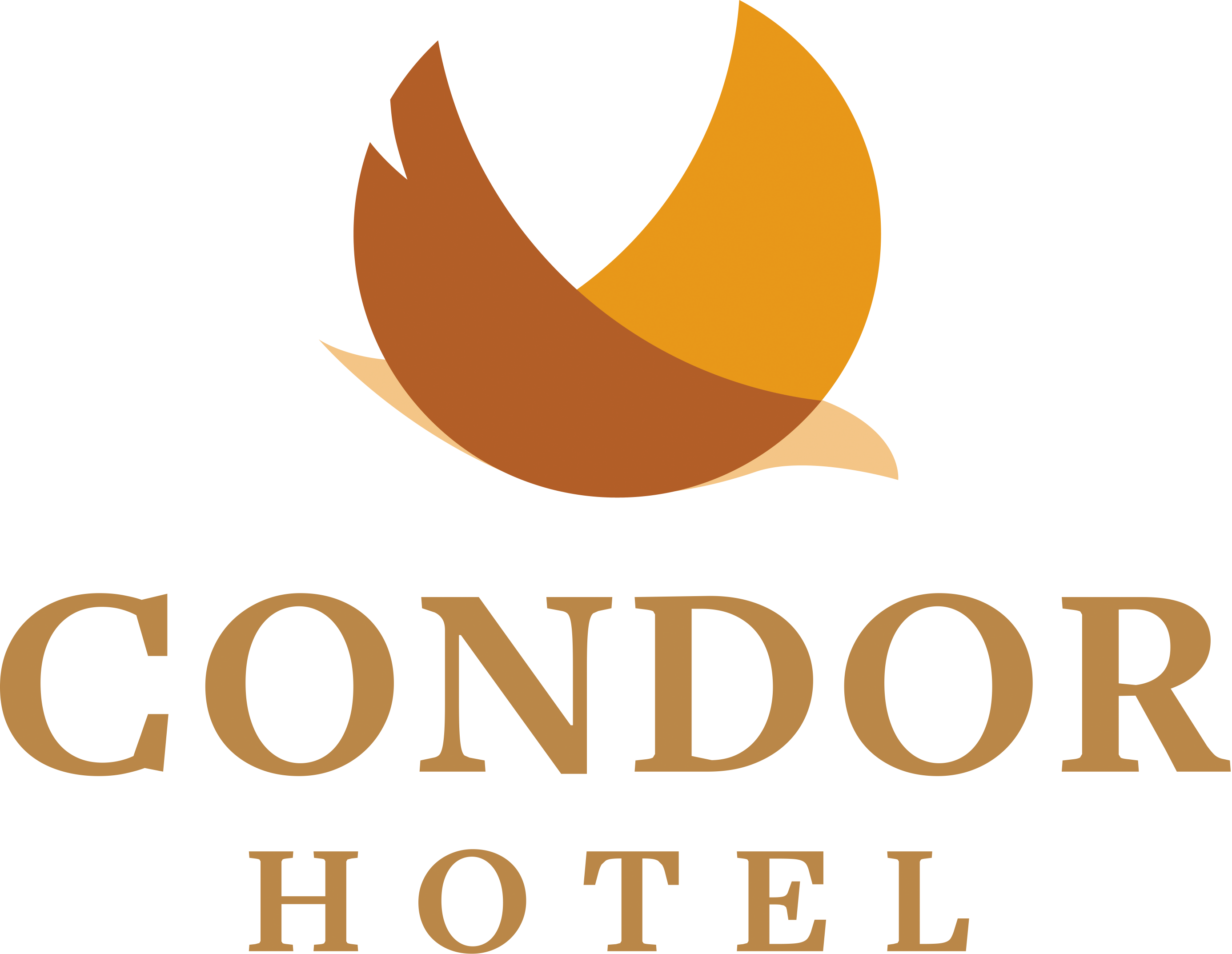 Congratulations! The PNG Image Has Been Downloaded (Condor Logo, HD Png ...