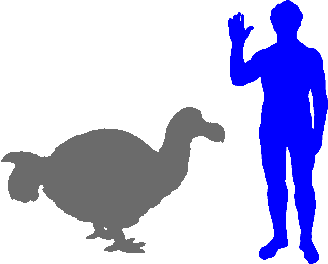 Congratulations! The PNG Image Has Been Downloaded (Transparent Dodo ...