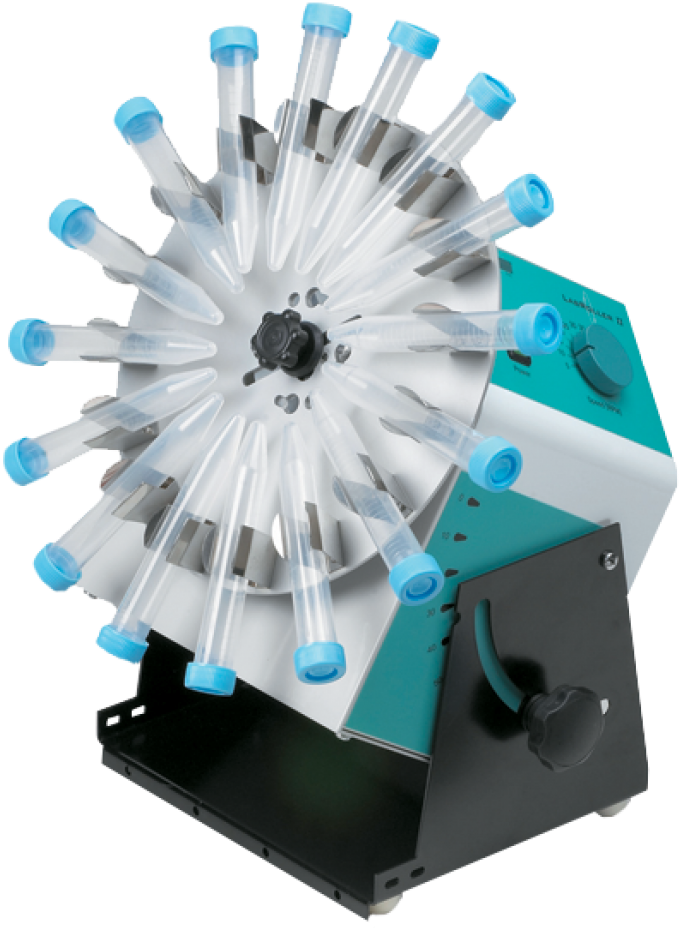 Congratulations! The PNG Image Has Been Downloaded (Labroller ...