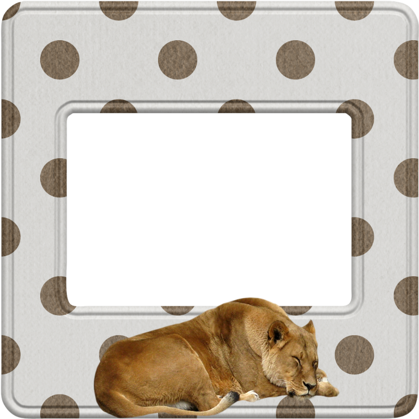 Congratulations! The PNG Image Has Been Downloaded (#mq #lion #brown # ...