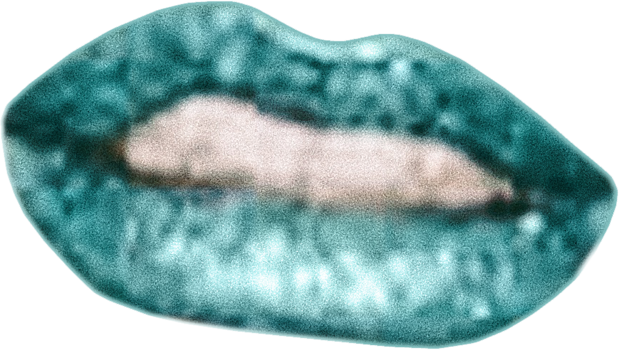 Congratulations! The PNG Image Has Been Downloaded (Transparent Pitbull ...