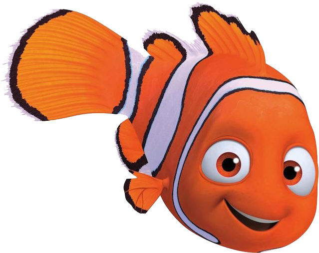 Congratulations! The PNG Image Has Been Downloaded (Nemo Png Picture ...