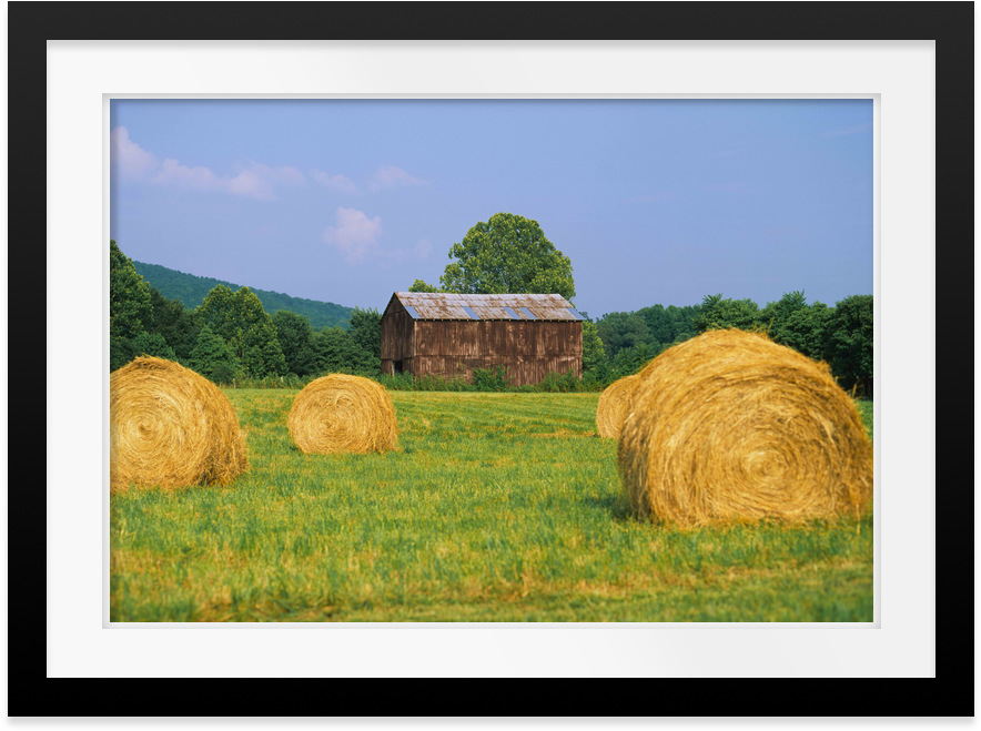 Congratulations! The PNG Image Has Been Downloaded (Hay Bail Png ...