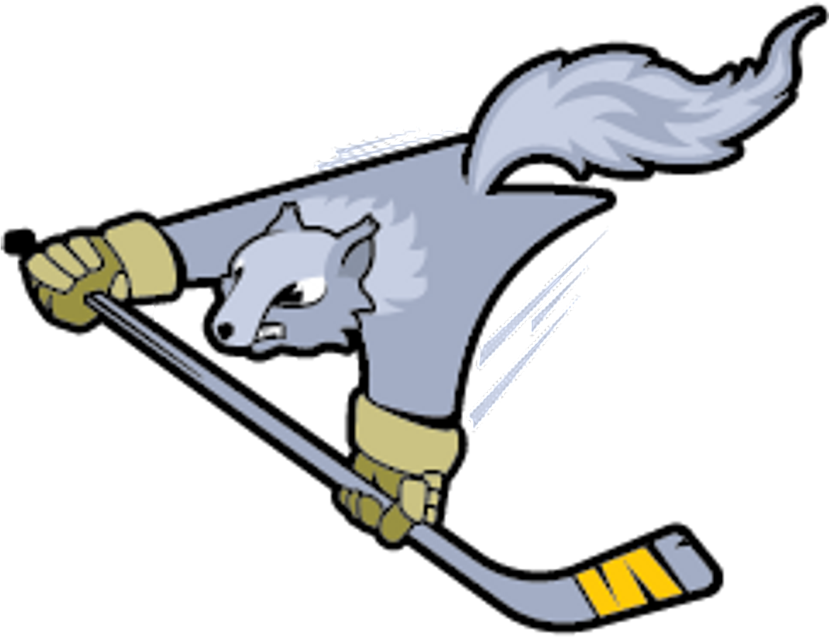 Congratulations! The PNG Image Has Been Downloaded (Flying Squirrel ...