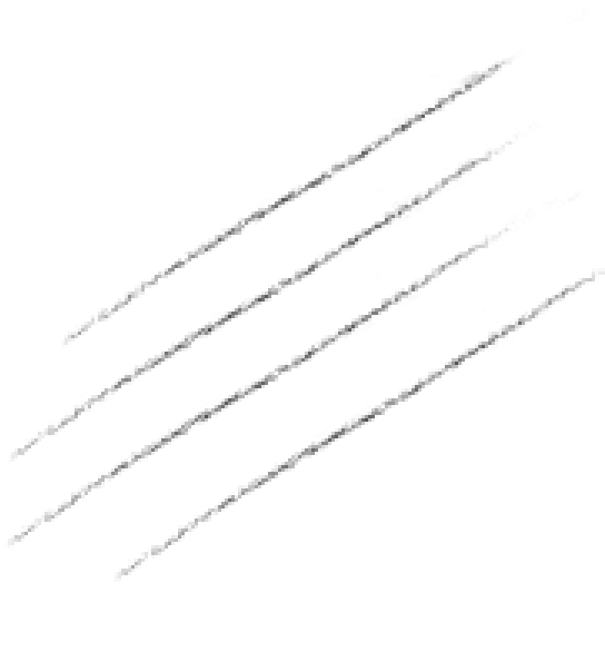 Congratulations! The PNG Image Has Been Downloaded (Scratches Png Free ...