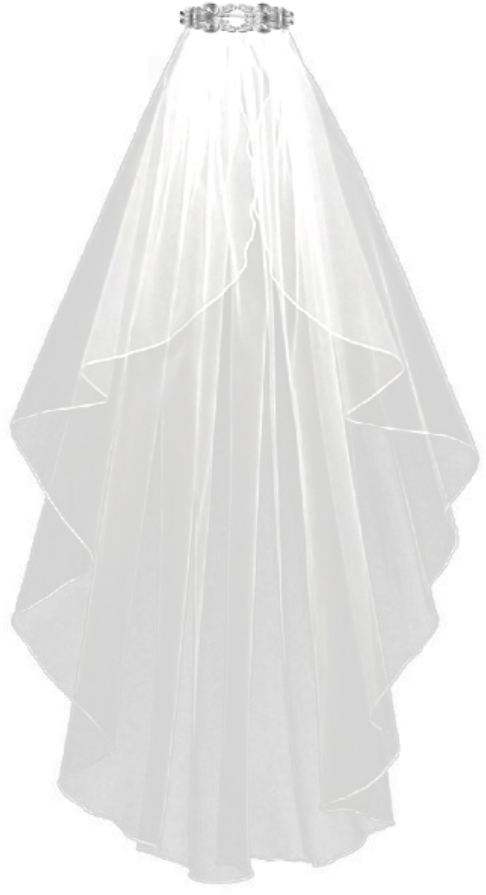 Congratulations! The PNG Image Has Been Downloaded (#ghost #bride #veil ...