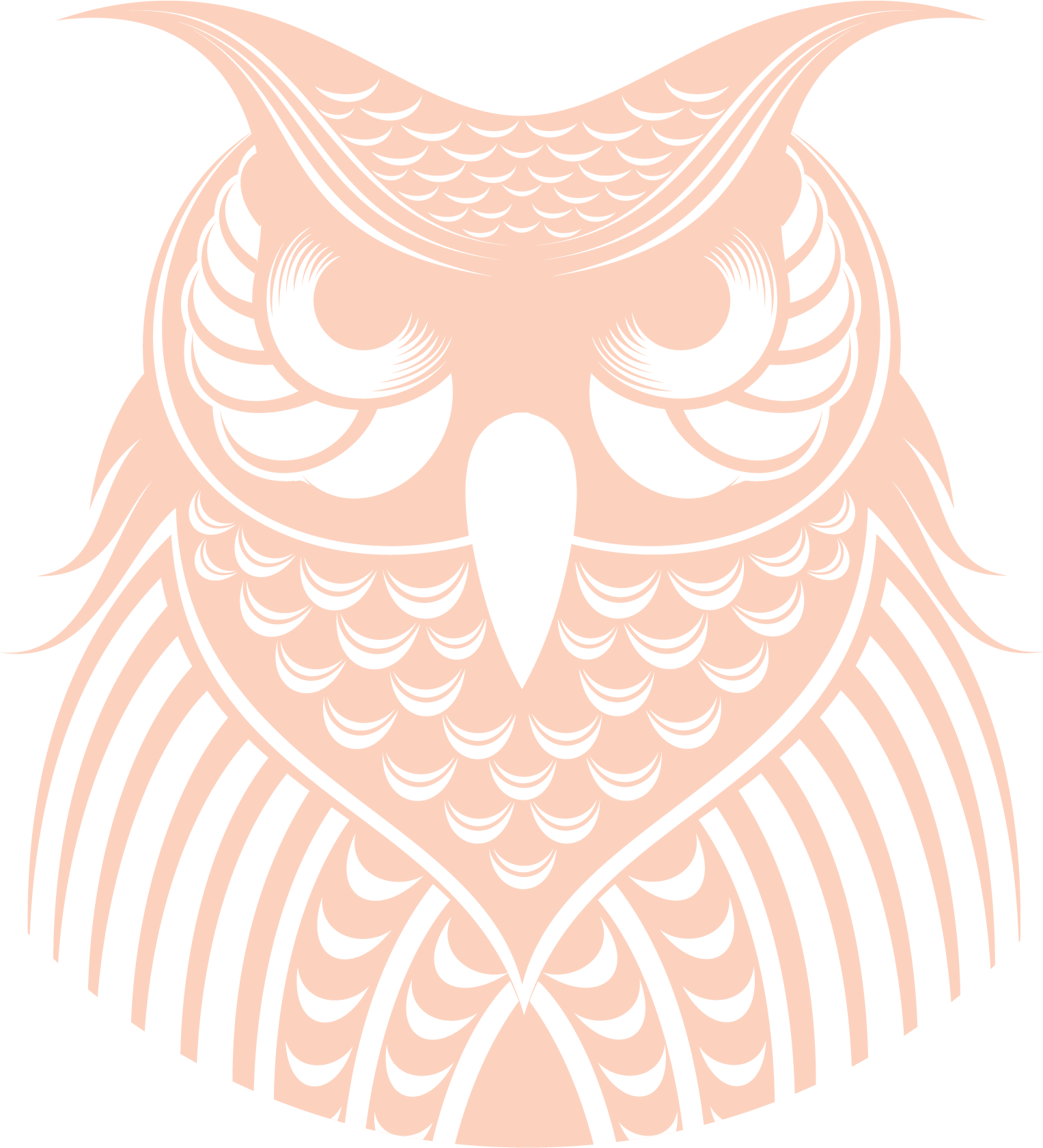Congratulations! The PNG Image Has Been Downloaded (Transparent Owl ...