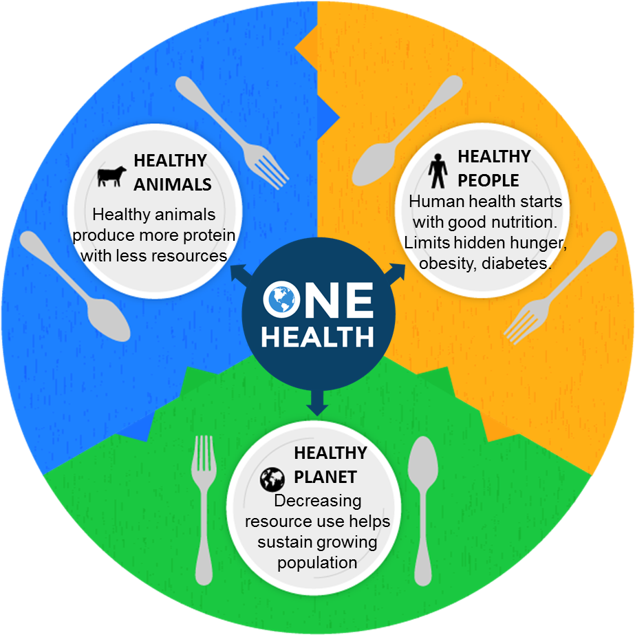 Congratulations! The PNG Image Has Been Downloaded (One Health Healthy ...