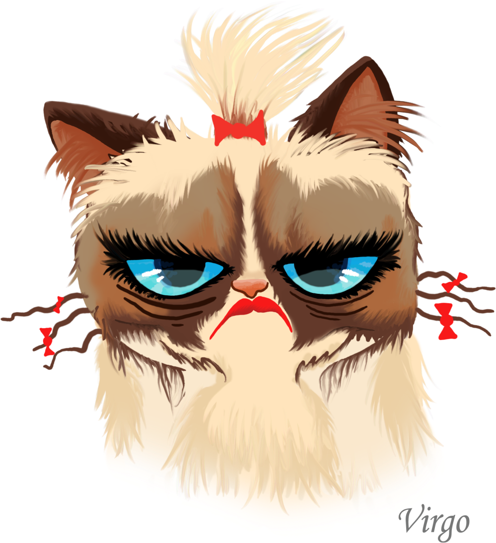 Congratulations! The PNG Image Has Been Downloaded (Grumpy Cat Art ...