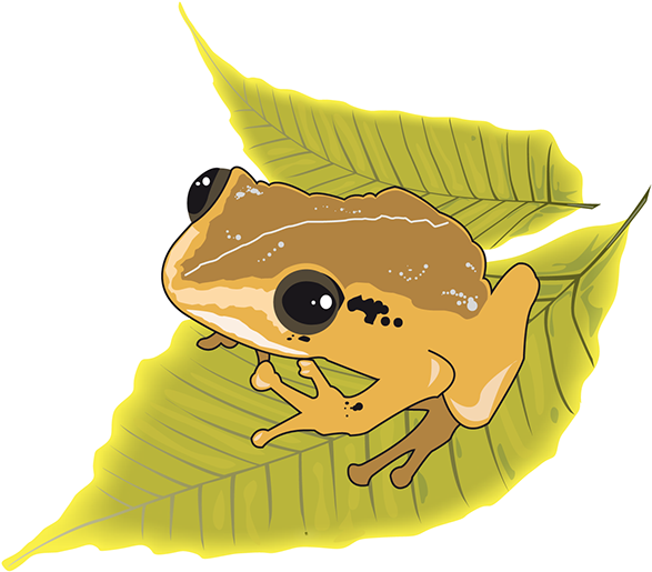 Congratulations! The PNG Image Has Been Downloaded (Puerto Rican Native ...