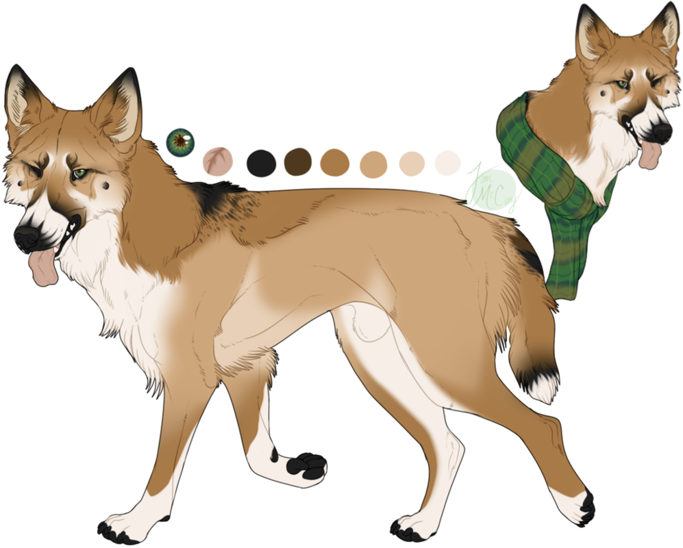 Congratulations! The PNG Image Has Been Downloaded (Shiba Sakhalin Inu ...