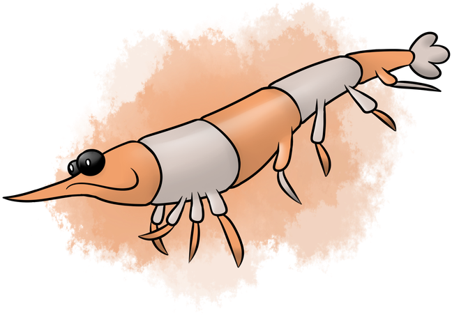 Congratulations! The PNG Image Has Been Downloaded (Kridro, The Krill ...