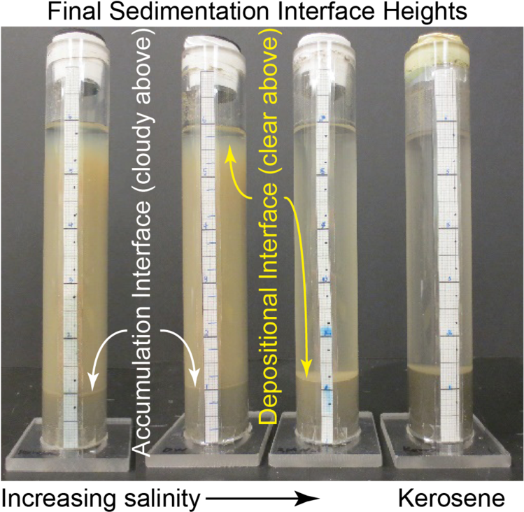 Congratulations! The PNG Image Has Been Downloaded (Photograph Of ...